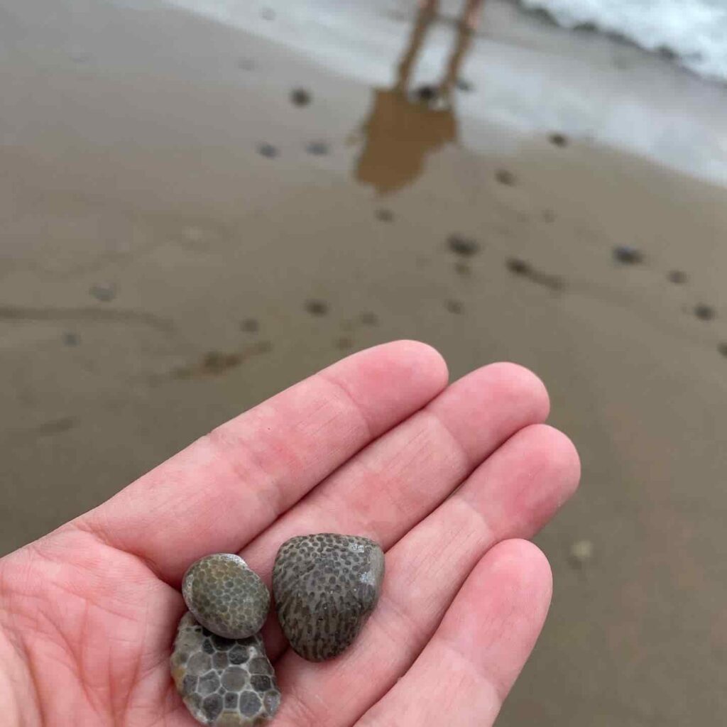 21+ Best Lake Huron Beaches in Michigan [+ Thumb Area] – Inside Michigan